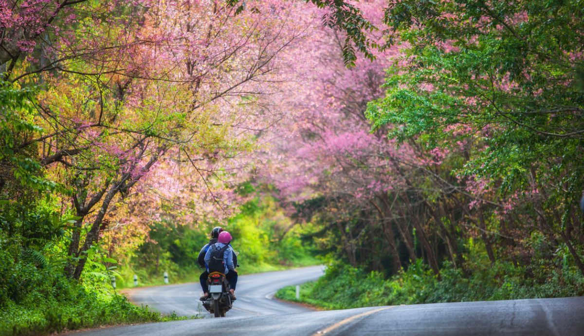 Cómo Preparar tu Moto para La Primavera | Billy Moto